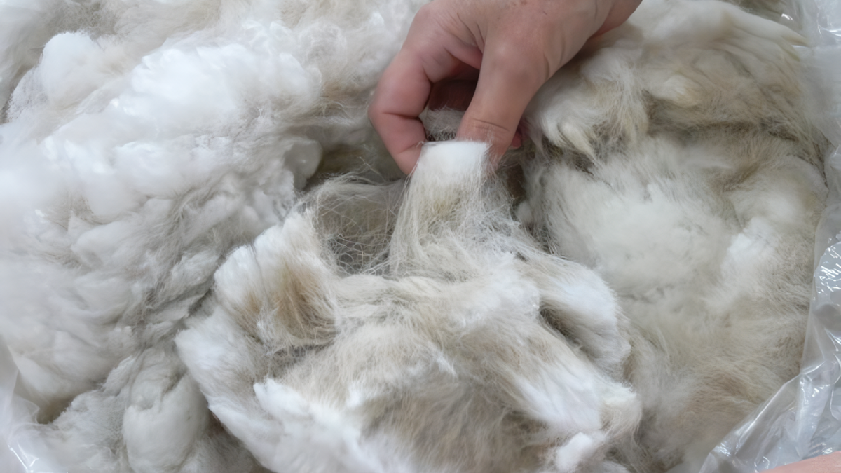 Is Alpaca Wool Itchy? – WillowAce