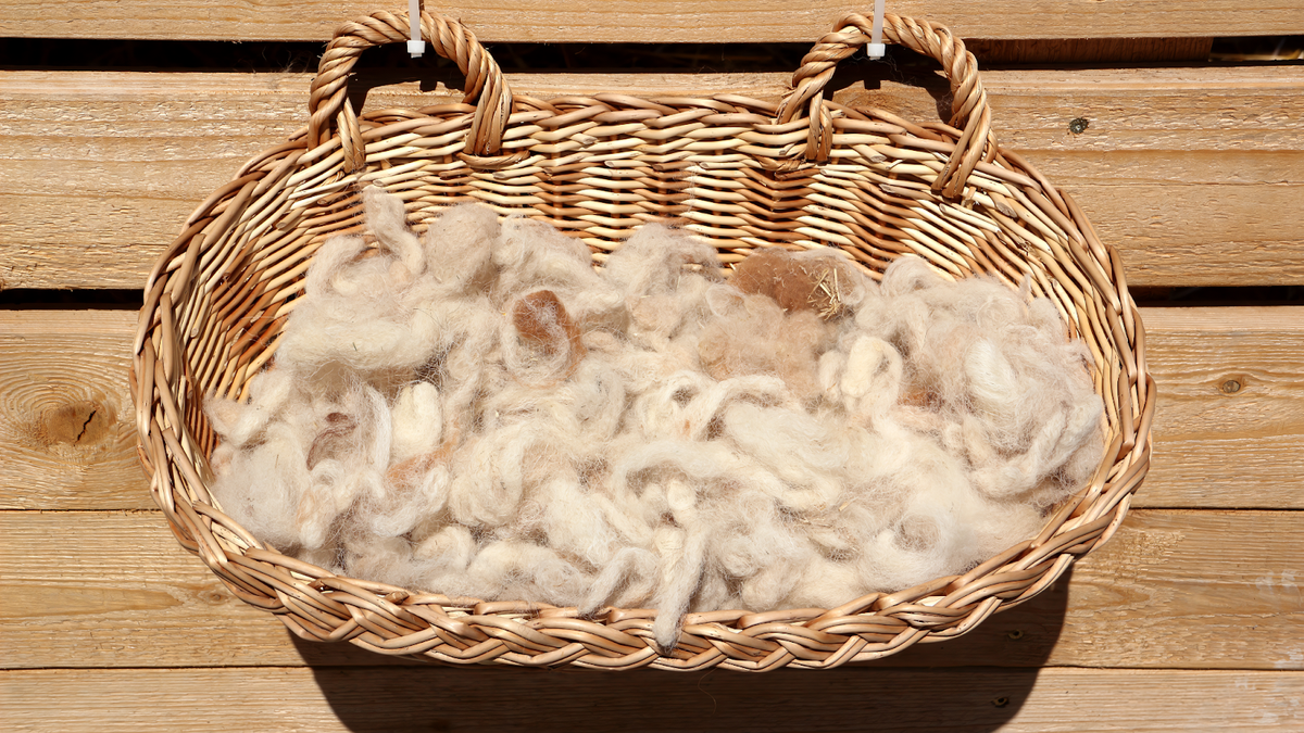 Best Material for Socks – WillowAce